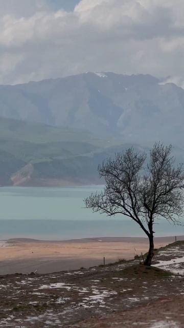 Чарвакское водохранилище и не только, в нашем выпуске о Ташкенте и Чимгане #узбекистан #ташкент