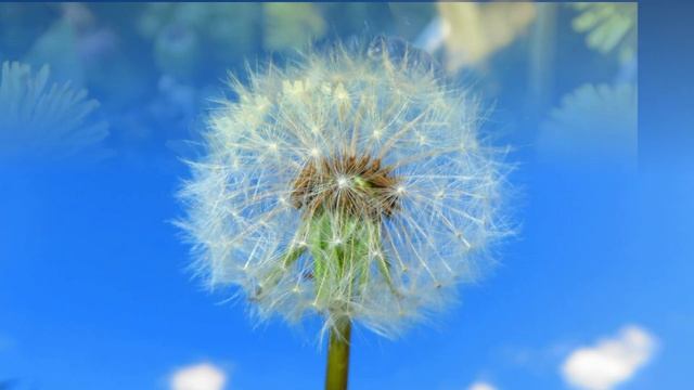 Июнь. Самуил Маршак.