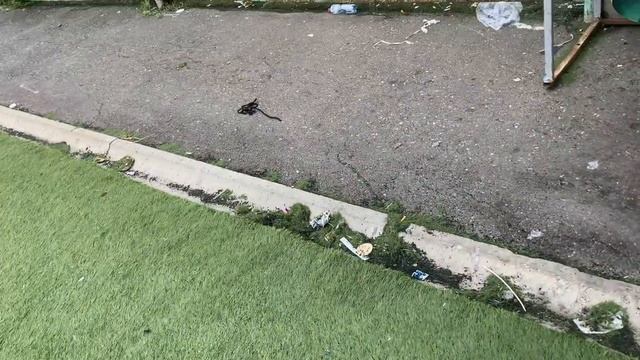 Шок, Альметьевска, нефтяная столица Татарстана, как здесь свянячат