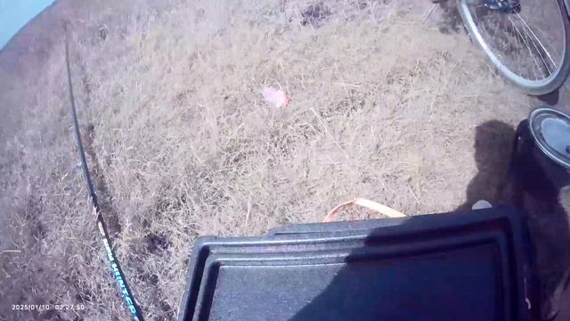 Сегодня порыбачил на Старице на поплавок🎣 Прикормил своей прикормкой. Наживка опарыш. Клев средний.