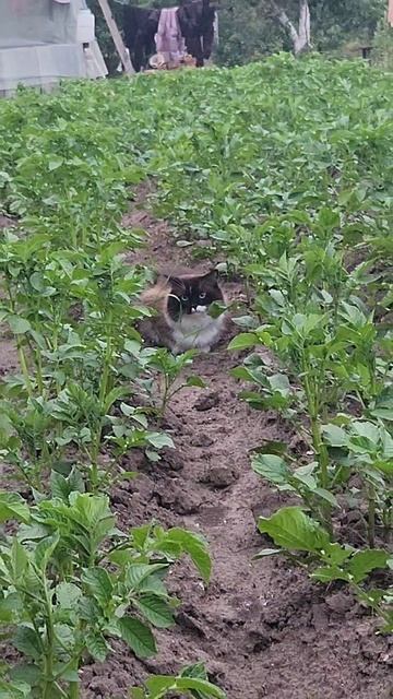 Эти глаза напротив 👍🙃🙈22-06-2025