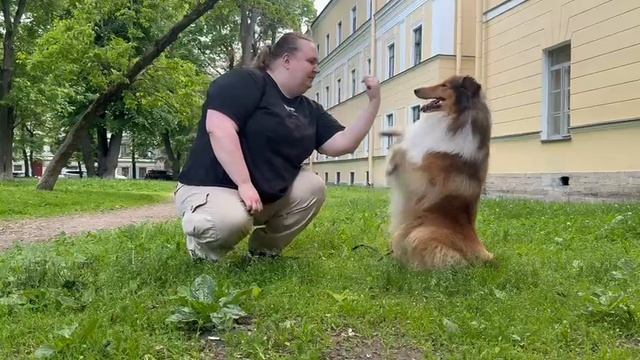 Хуру, трюки, июнь 25