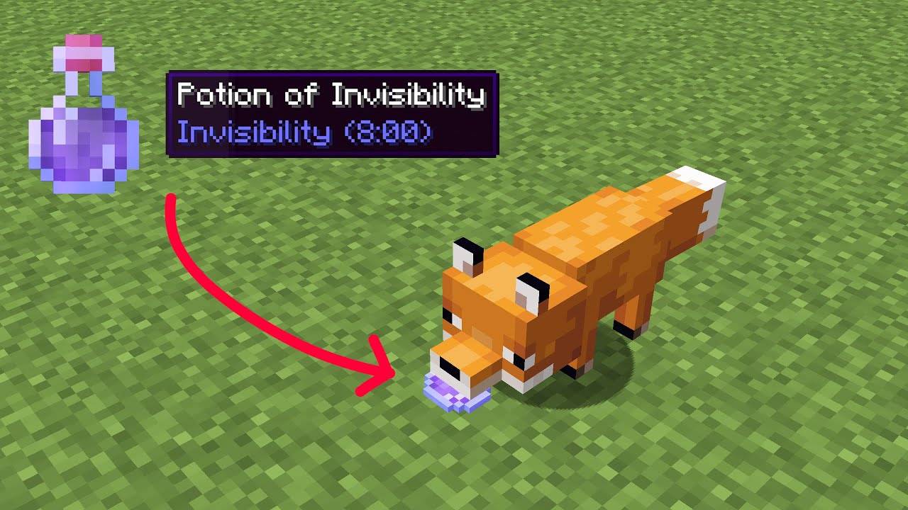 выпьет ли лиса зелье невидимости?