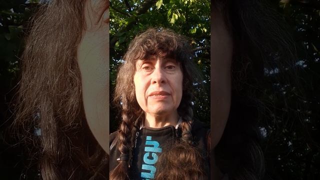 Я разделила чувства на цвета... Стихотворение Ольги Соковой