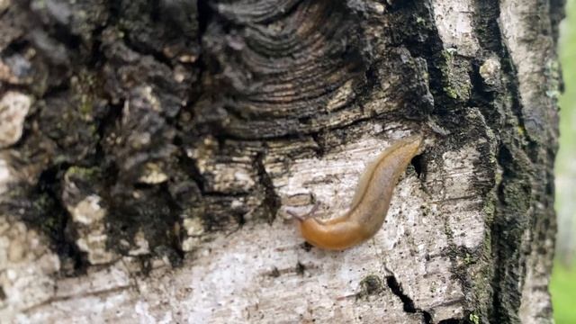 Relax. Мир вокруг нас