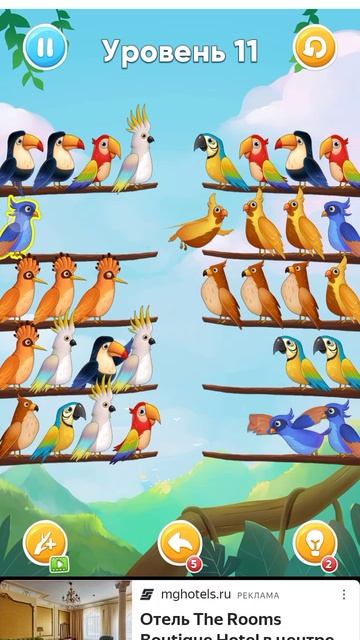 Птицы 7 уже сложно