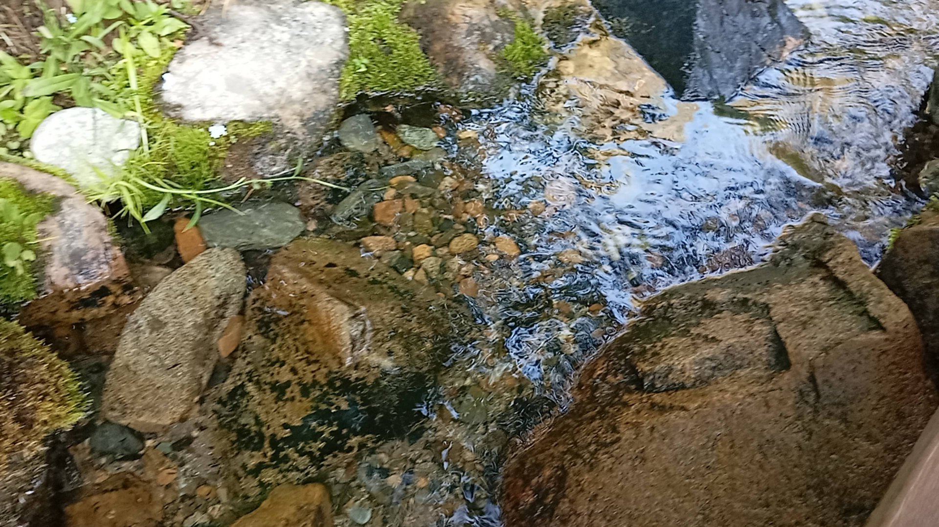 Для здоровья👍Еду за родниковой водой💦