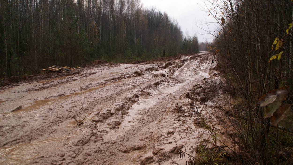 360. Одноразовая дорога из урочища Анкушино