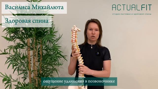 Тренировка Здоровая спина для здоровья позвоночника и суставов, йога, pre-Palates