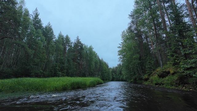 Сплав по реке Песь ( лирика от LYRIQа )