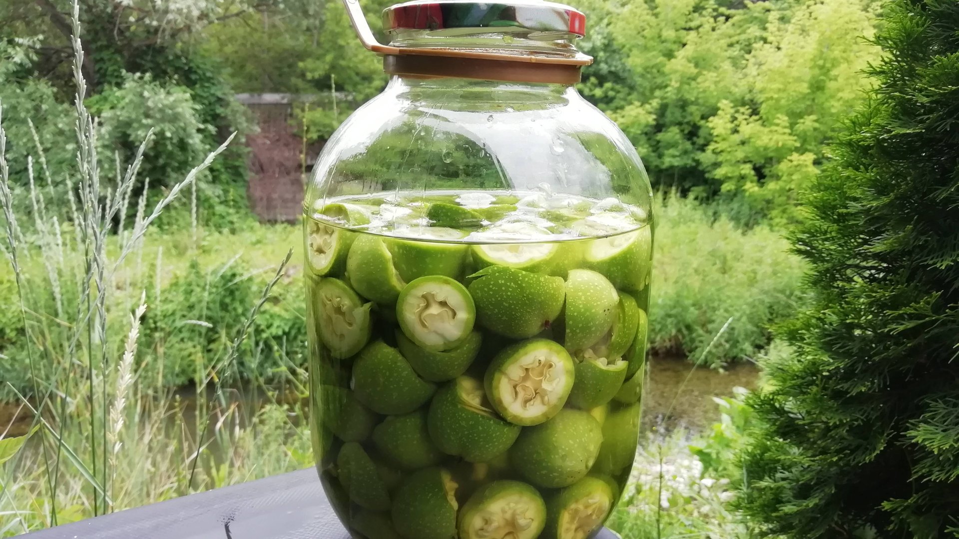 КАК Я ДЕЛАЮ ЦЕЛЕБНУЮ НАСТОЙКУ ИЗ ЗЕЛЕНОГО ГРЕЦКОГО ОРЕХА