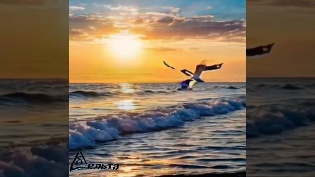 Морской прибой