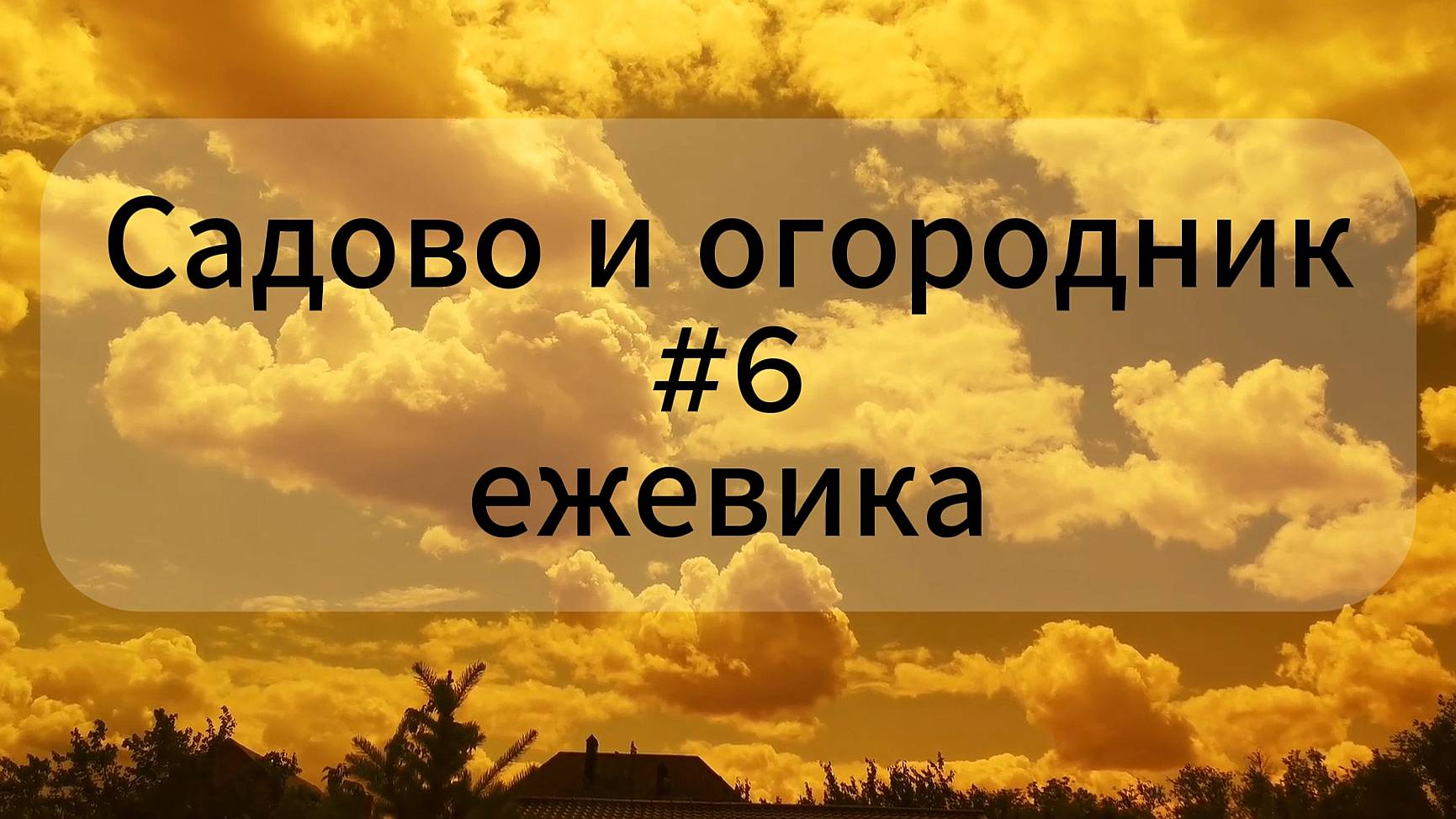 Ежевика цветочные зародыши. Садовод и огородник. Выпуск 6
