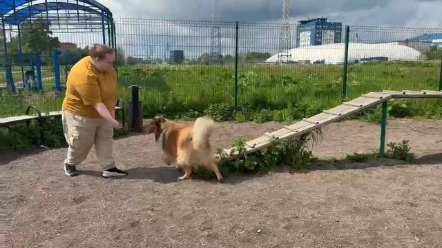 Хуру на снарядах, июнь 25