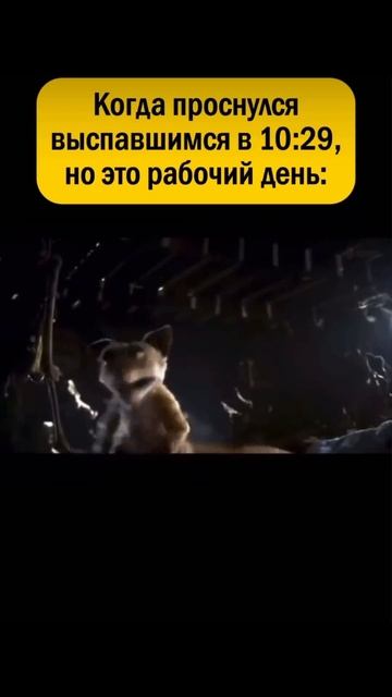 Когда наконец то выспался.  #Shorts