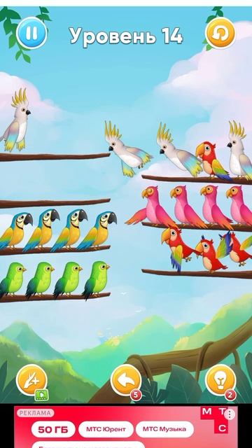 Птицы 9 сколько? 18?