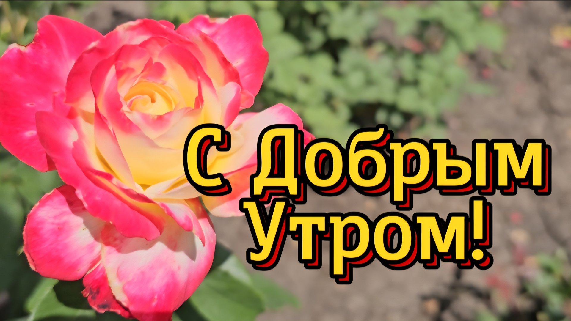 С Добрым утром! 🌞 Желаю Вам самого лучшего дня! 💖