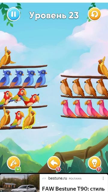 Птицы 16 долгий уровень 1