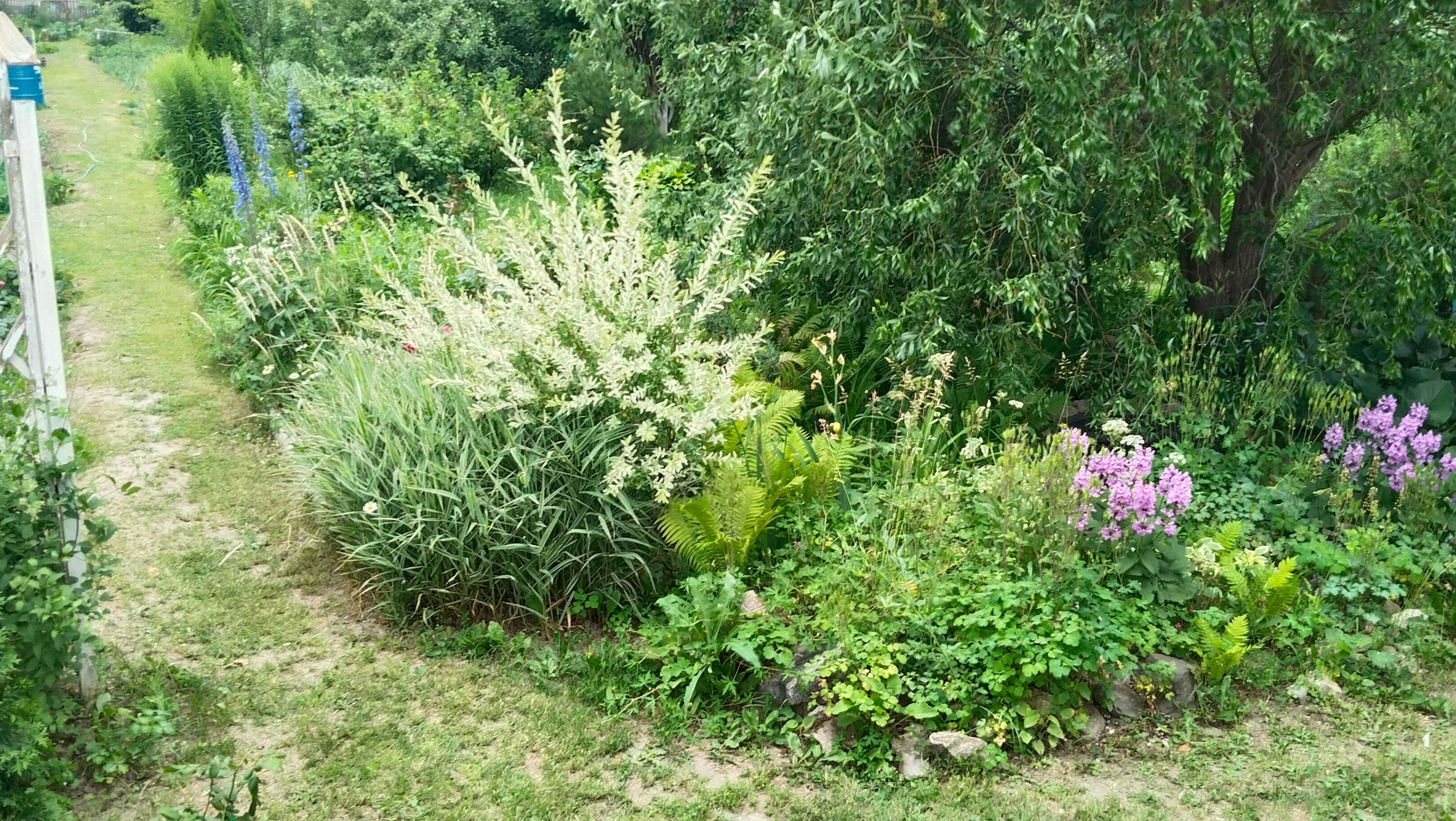 22 июня. Вечер. Непогода