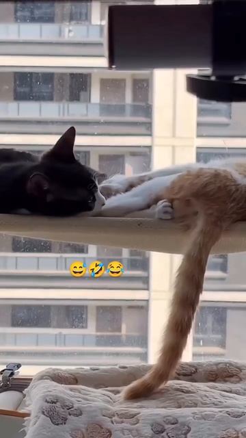 Капусту нужно мять =) #Shorts