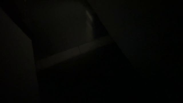 В ветклинике