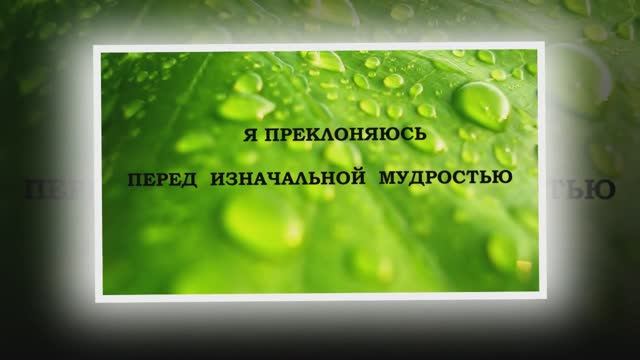 МЕДИТАЦИЯ ПРОЦВЕТАНИЯ - МАНТРА привлечения денег