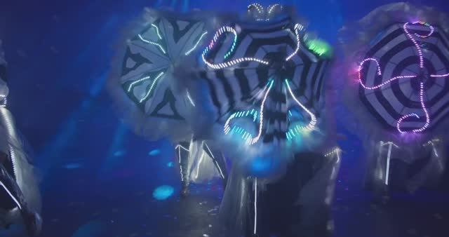 Шоу номер "Медузы"