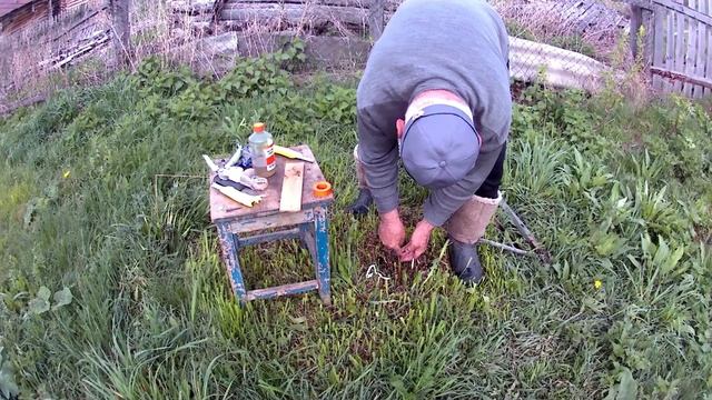 Первая перепрививка мартовских в апреле за кору удачно