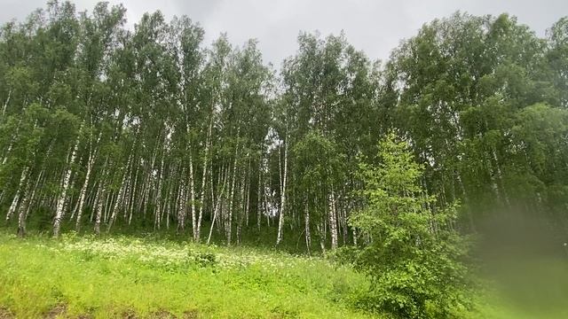 Relax. Свежесть после дождя