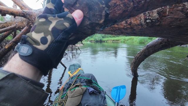 Сплав по реке Песь (  под сосной )