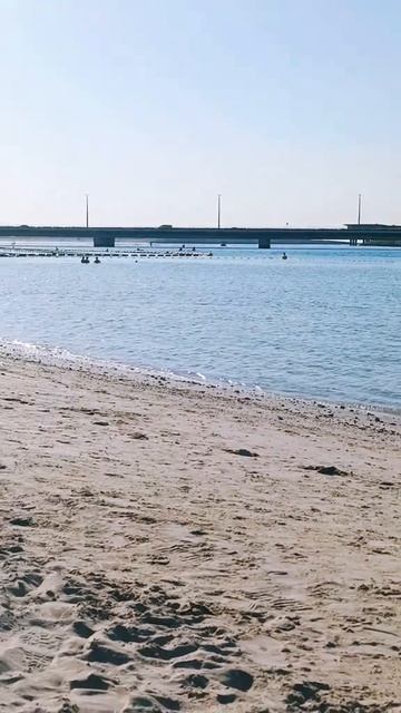Дубай. Городской пляж.