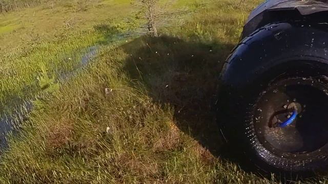 очень длинное кино