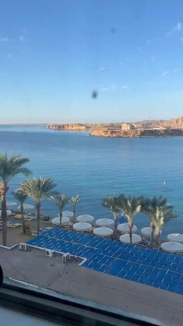 Панорамный лифт Albatros Sharm Resort–By Pickalbatros Ex.Beach Albatros Шарм-эль-Шейх Египет