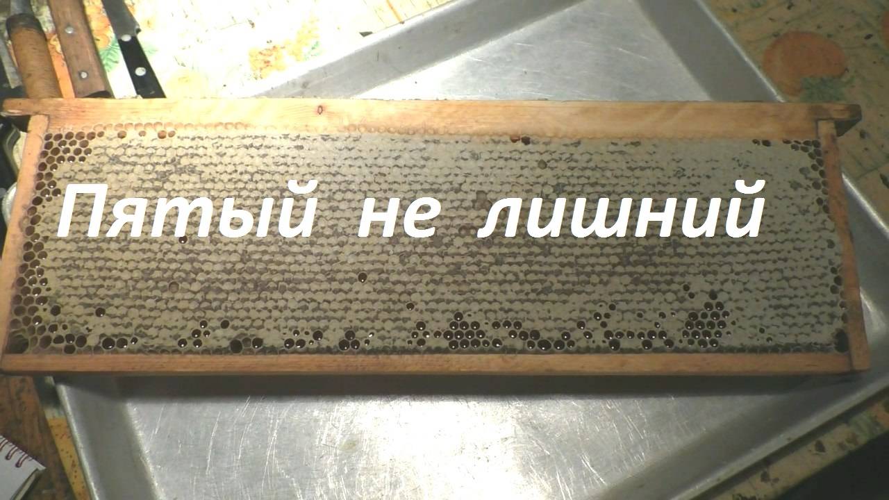 Пришлось поставить пятые магазины