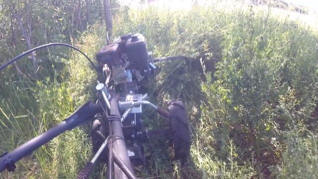 Косилка Заря, косим люцерну 3