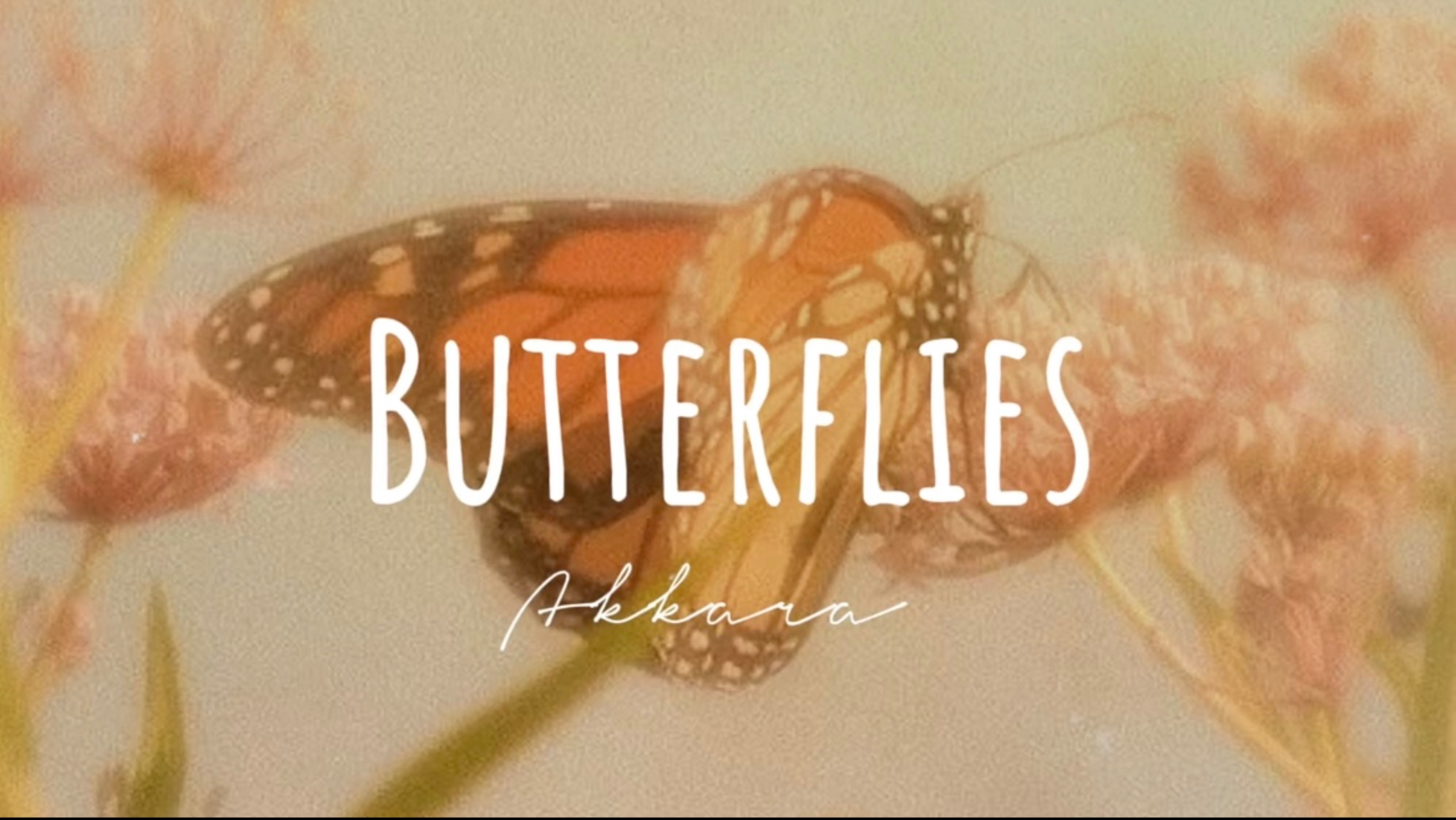 Группа «Аккара» - Butterflies