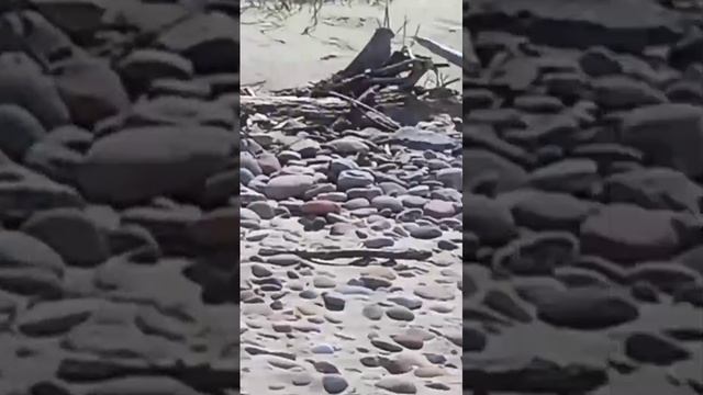 На экскурсии .Туристы купаются в холодном море  . сайт е-трипстер  ,https://www.e-tripster.ru