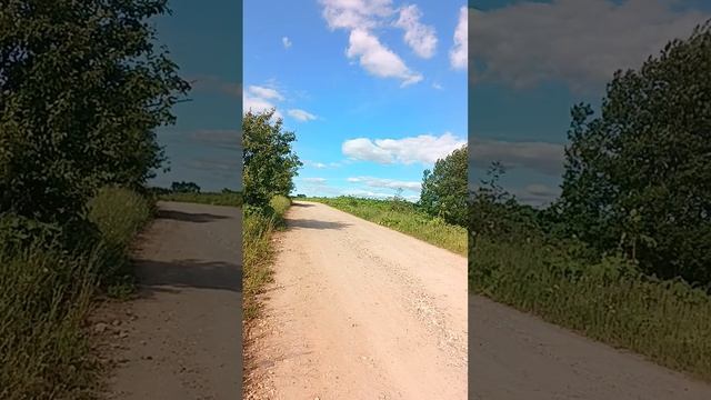 День без дождя. Это лето сплошные дожди.