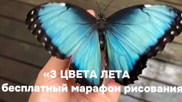 Бесплатный марафон рисования + розыгрыш творческих подарков!