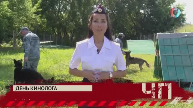 Омская полиция ко Дню кинолога