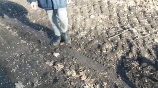 КОРОЧЕ ГОВОРЯ, Контактирую с Призраком