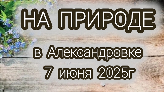 один день в Александровке