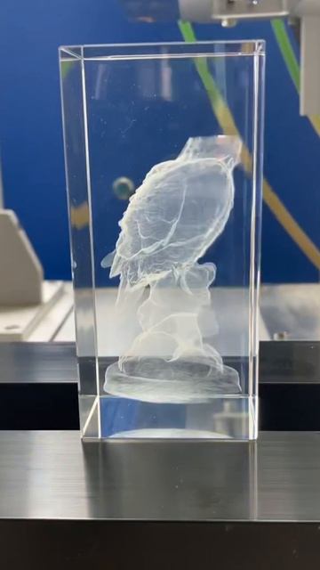 😍 Как же потрясающе получилось! 😍