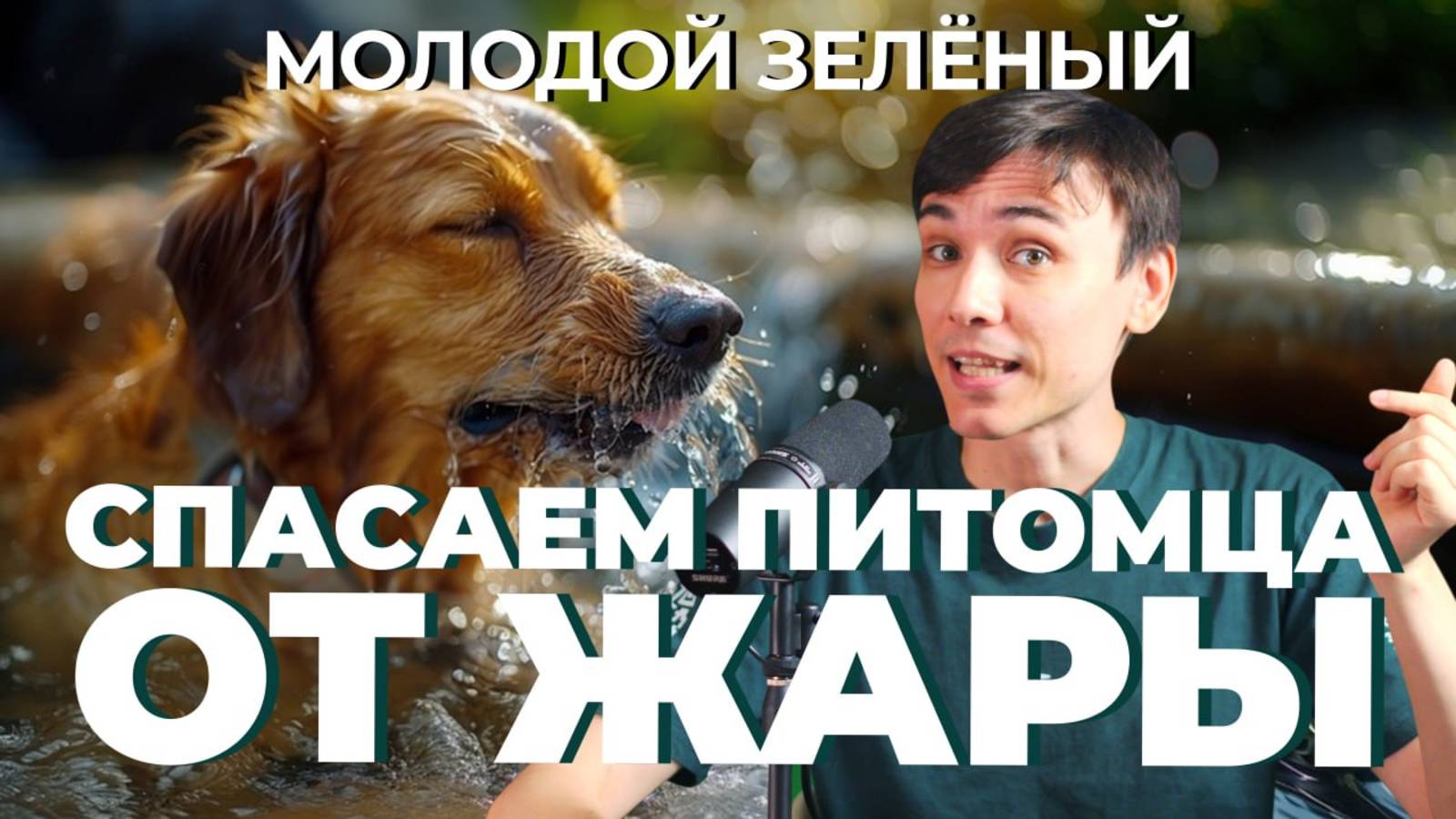 МОЛОДОЙ ЗЕЛЁНЫЙ | ВЫПУСК #15