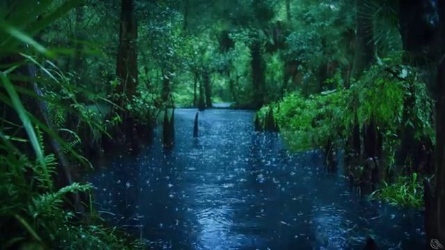 🍀 Белый шум реки и звуки дождя для сна