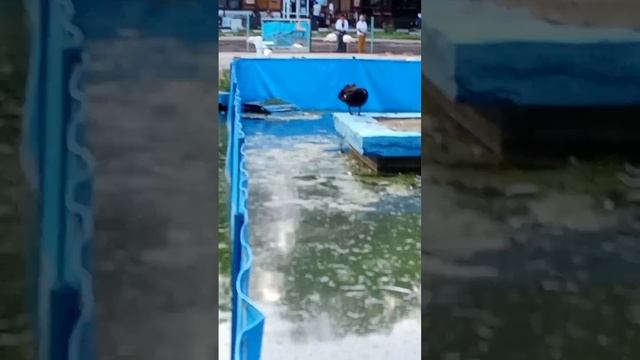 22.06.2025 г.
Обзор на парк революции в Ростове на Дону
Третье по высоте в России
(Читайте описание)