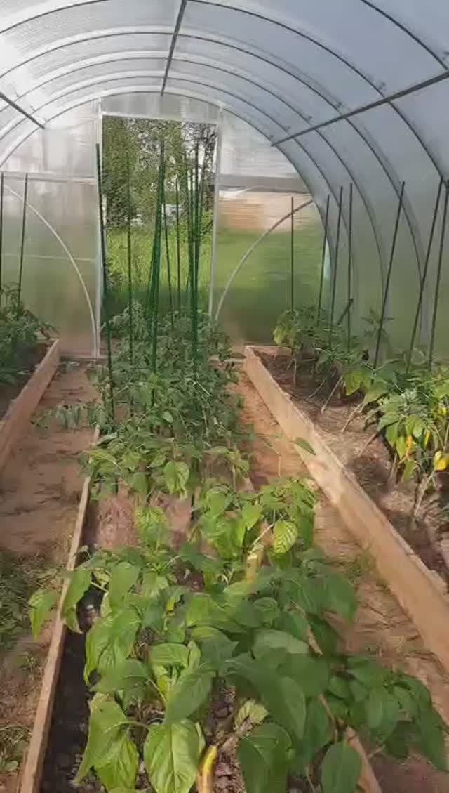 Теплица Сигма Люкс с L-блоком