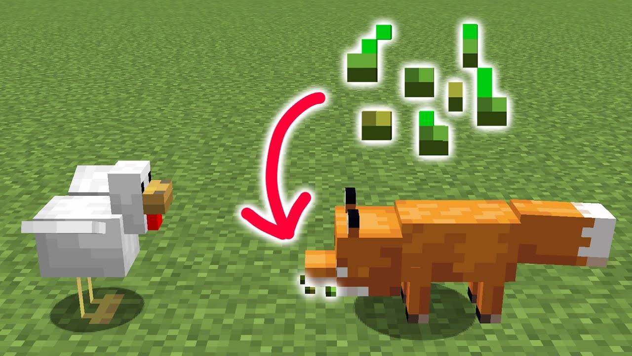 это ловушка