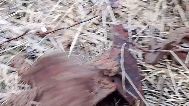 коп по металу хорошие находки.