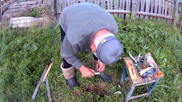 Вторая перепрививка мартовских в апреле за кору не очень